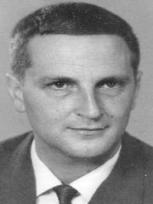 Levin, Oded - The Faculty of Data and Decision Sciences : The Faculty ...